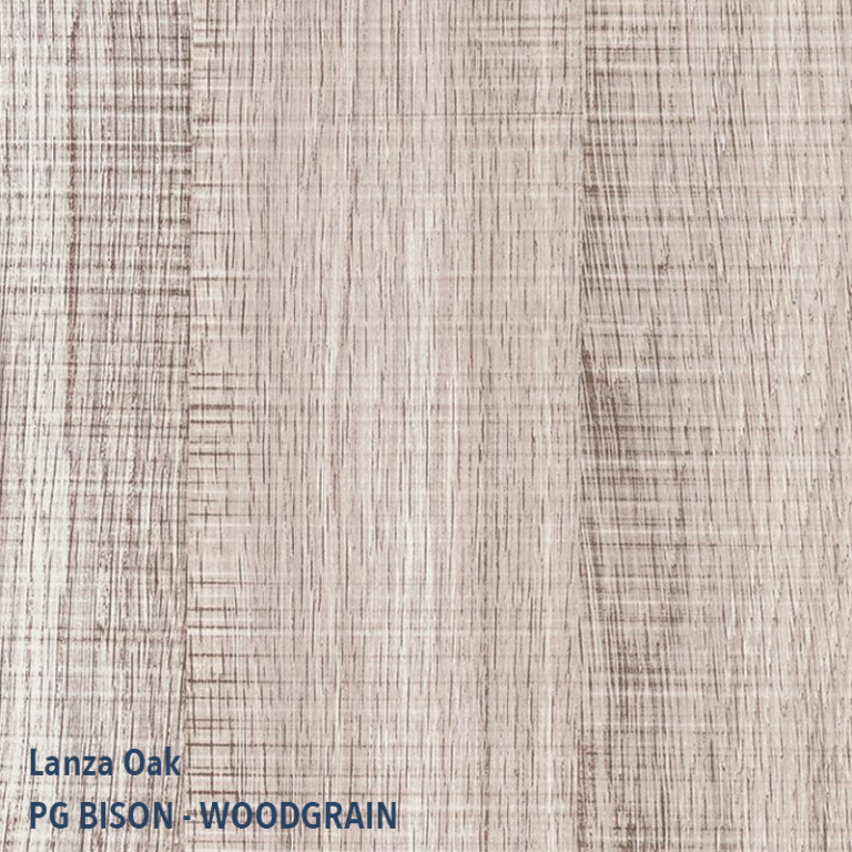 PG Bison - Practicut