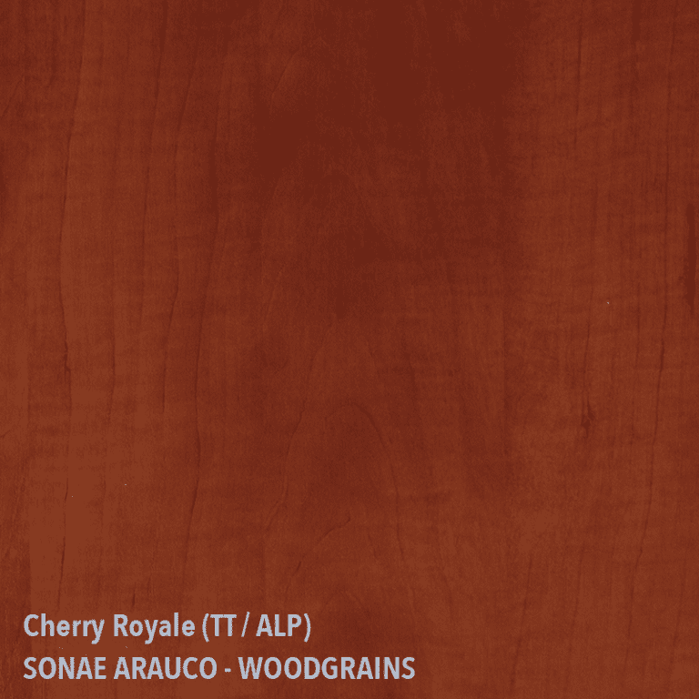 Sonae Arauco - Practicut