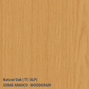 Sonae Arauco - Practicut