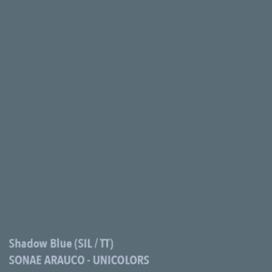 Sonae Arauco - Practicut