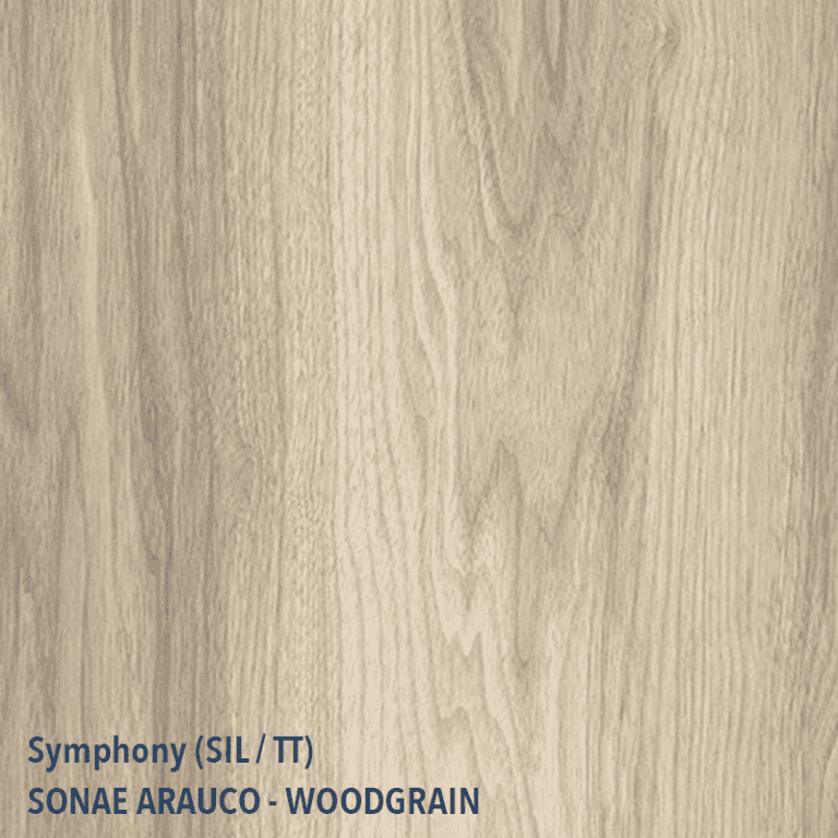 Sonae Arauco - Practicut